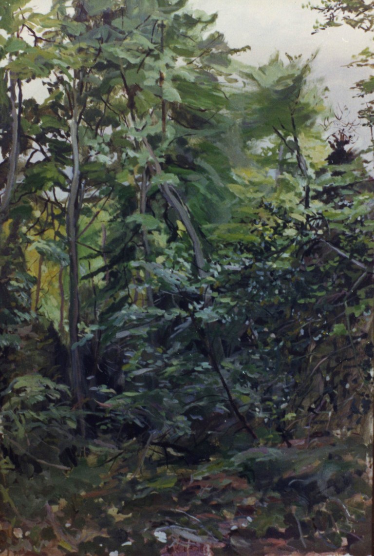 Later Influences and Interests – J.N.PEARCE ARTIST